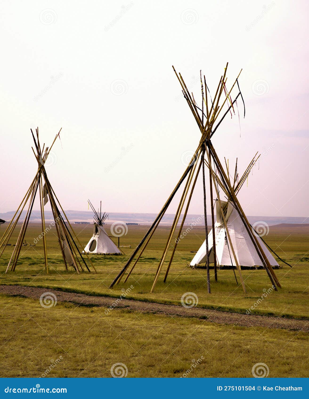 Teepee Structures with Two Covered Stock Photo - Image of white ...