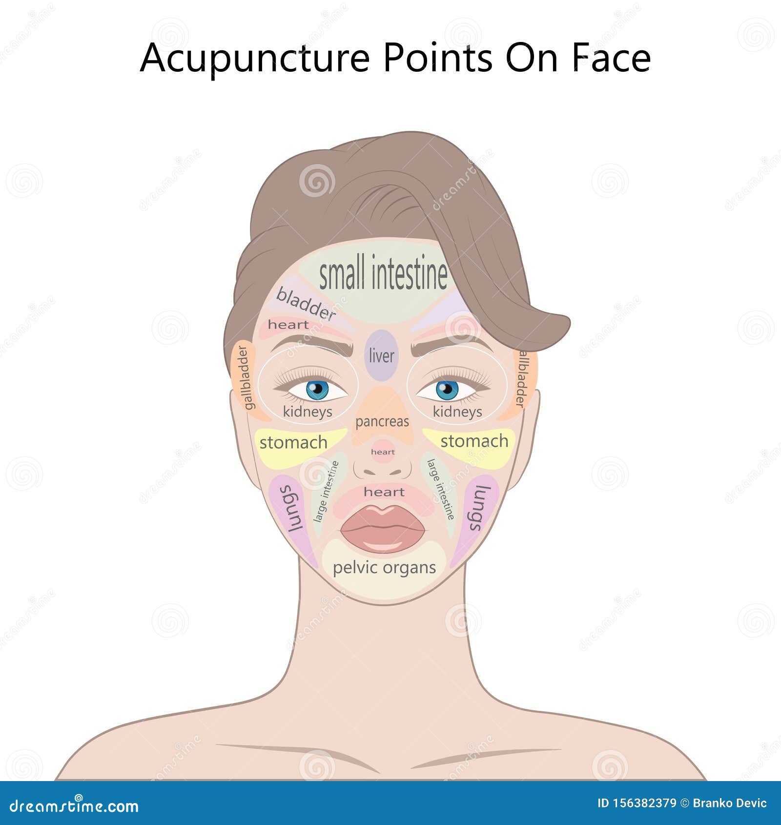 Active Acupuncture Points on the Face, Vector Illustration Stock Vector ...