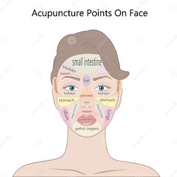 Active Acupuncture Points on the Face, Vector Illustration Stock Vector ...