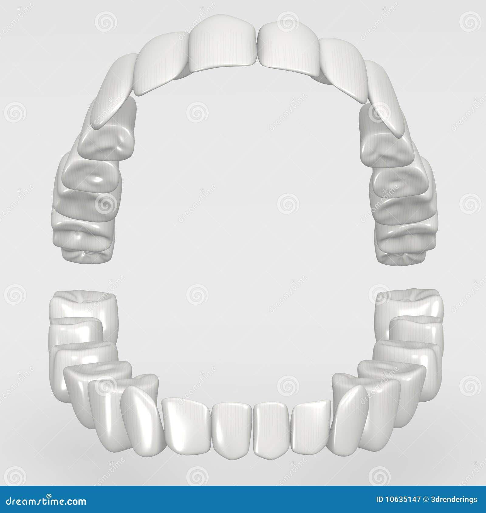 Teeth stock illustration. Illustration of render, human - 10635147