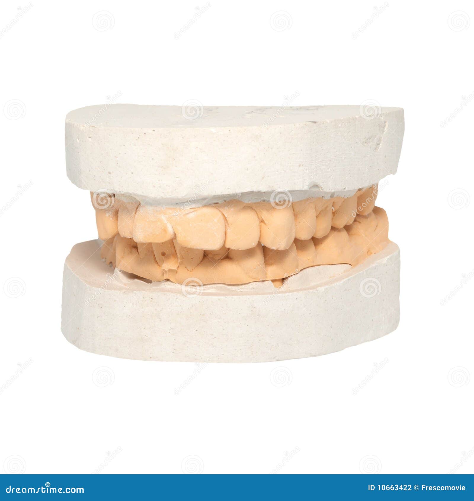 Teeth stock photo. Image of mouth, body, plastic, dental - 10663422
