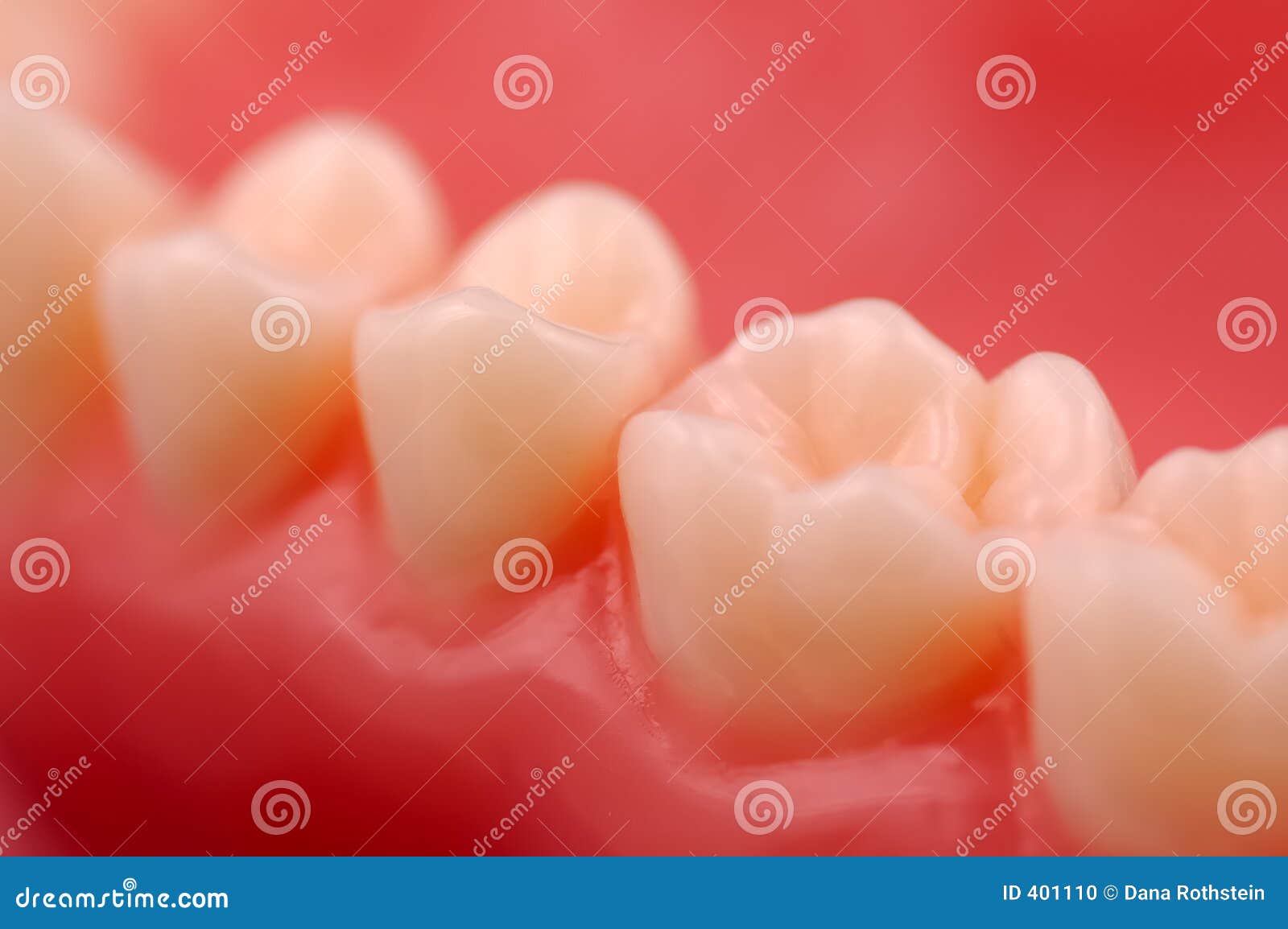 Teeth stock photo. Image of orthodonatl, hygiene, enamel - 401110