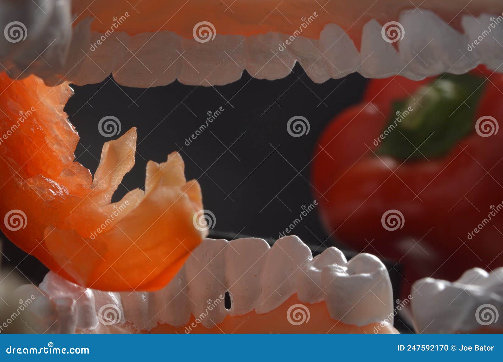 Teeth Biting Down on Red Pepper Stock Photo - Image of vegetable, mouth ...