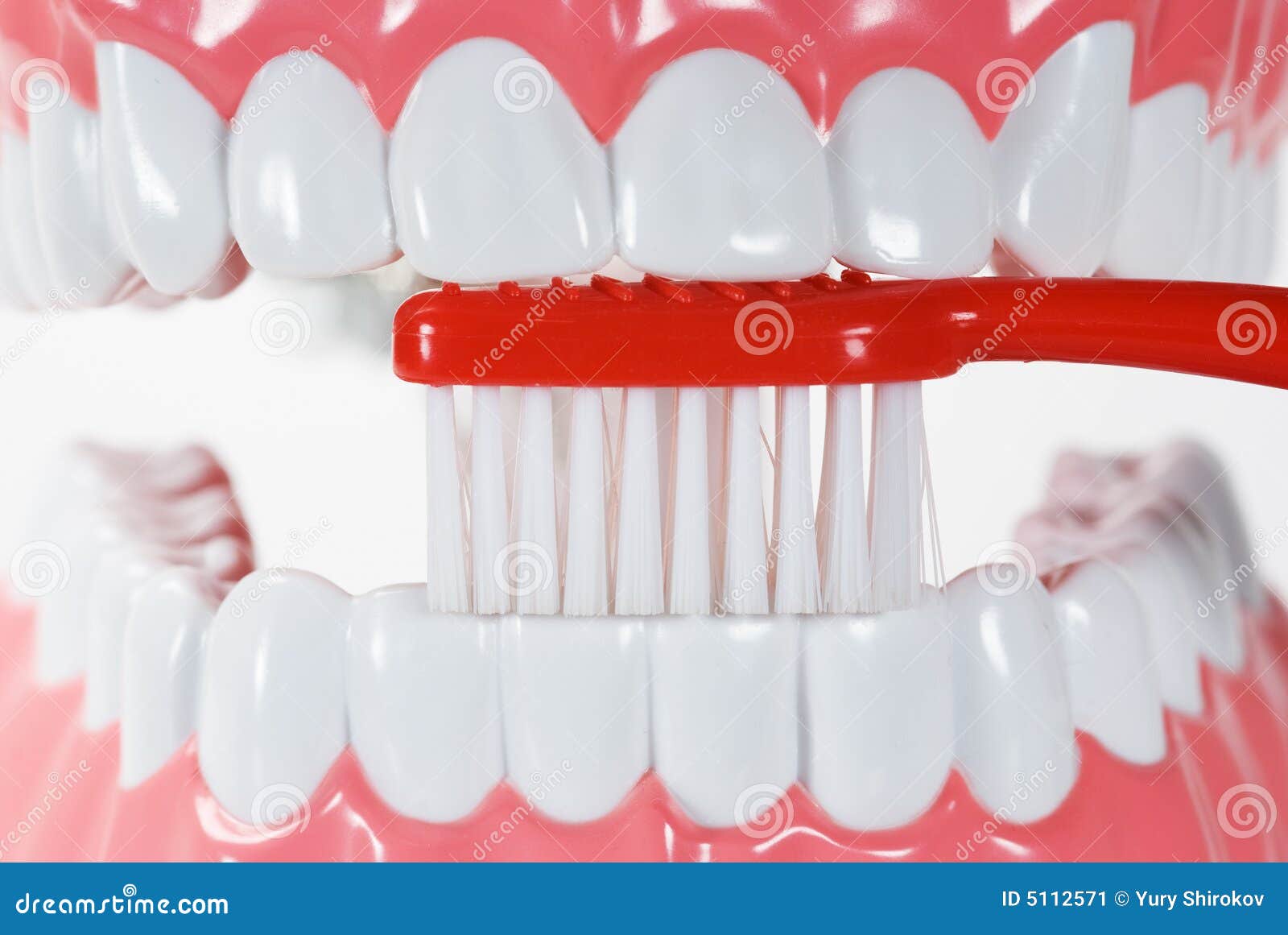 Teeth and brush stock image. Image of dentistry, mouth - 5112571