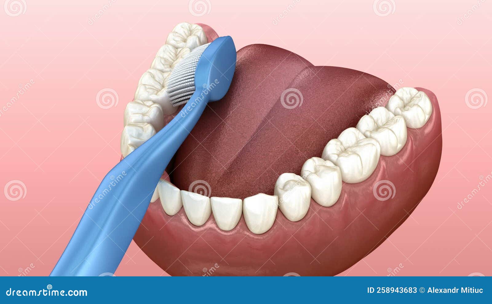 Teeth Brushing, Cleaning Process. Medically Accurate 3D Animation of ...