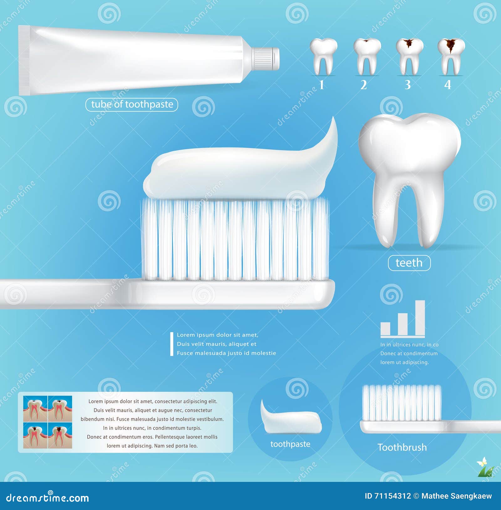 Teeth Care Infographics.vector Illustration Stock Vector - Illustration ...