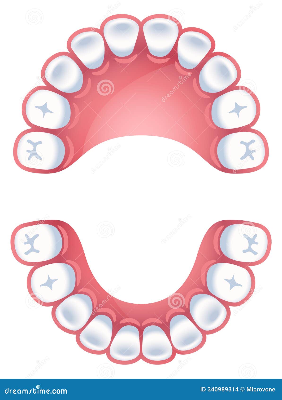 Jaws And Tooth Structure In The Old Book The Elementary Anatomy ...