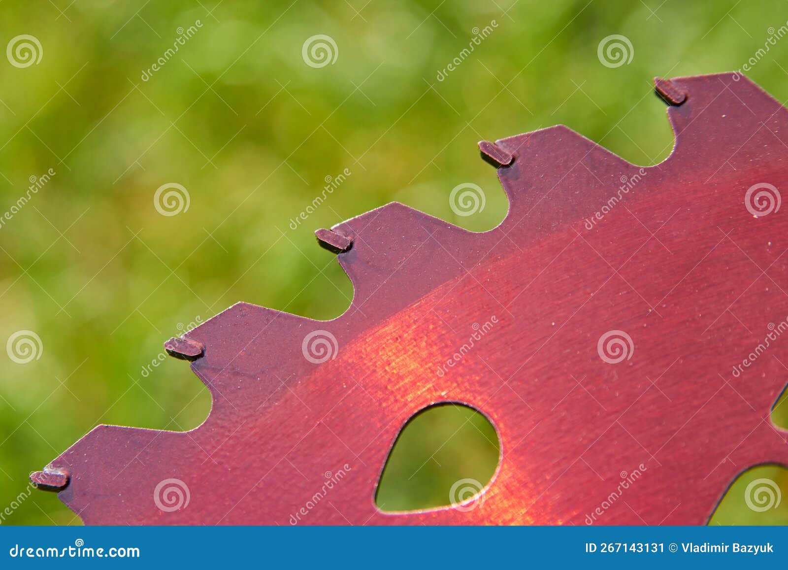 Teeth on a Circular Blade,close-up of a Metal Disk with Teeth for ...