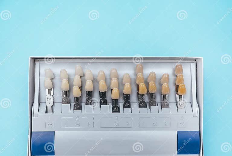Teeth Color Samples on Blue Background Stock Photo - Image of person ...