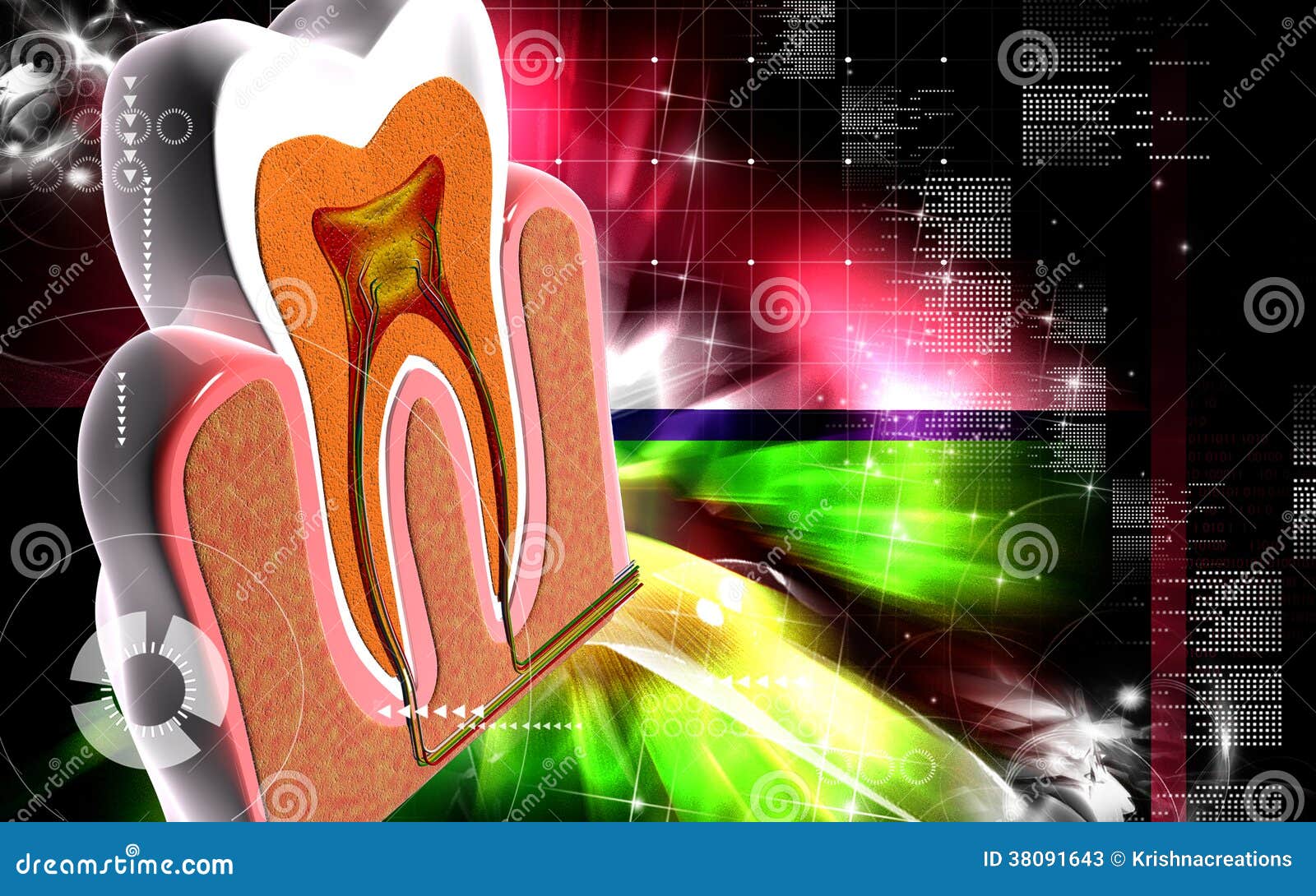 Teeth cross section stock illustration. Illustration of effects - 38091643