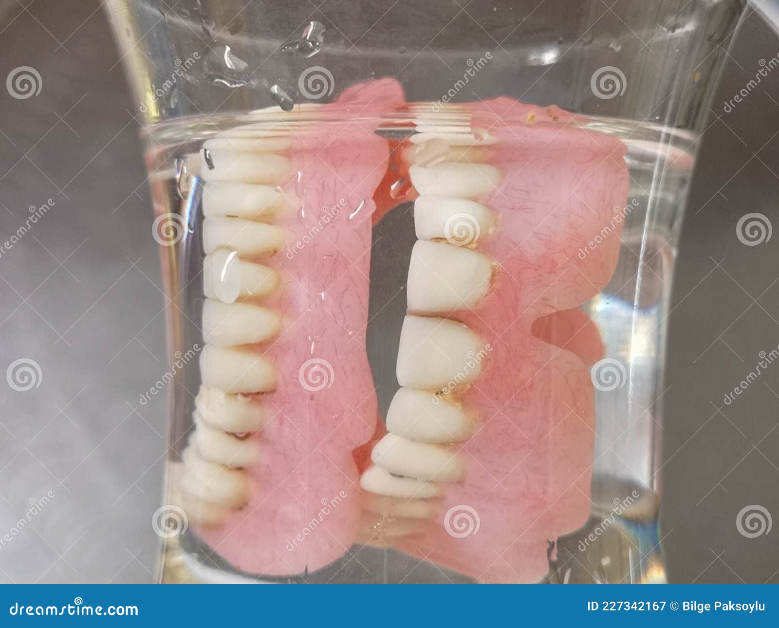 Fake Artificial Teeth in a Cup Full of Water Stock Image - Image of ...