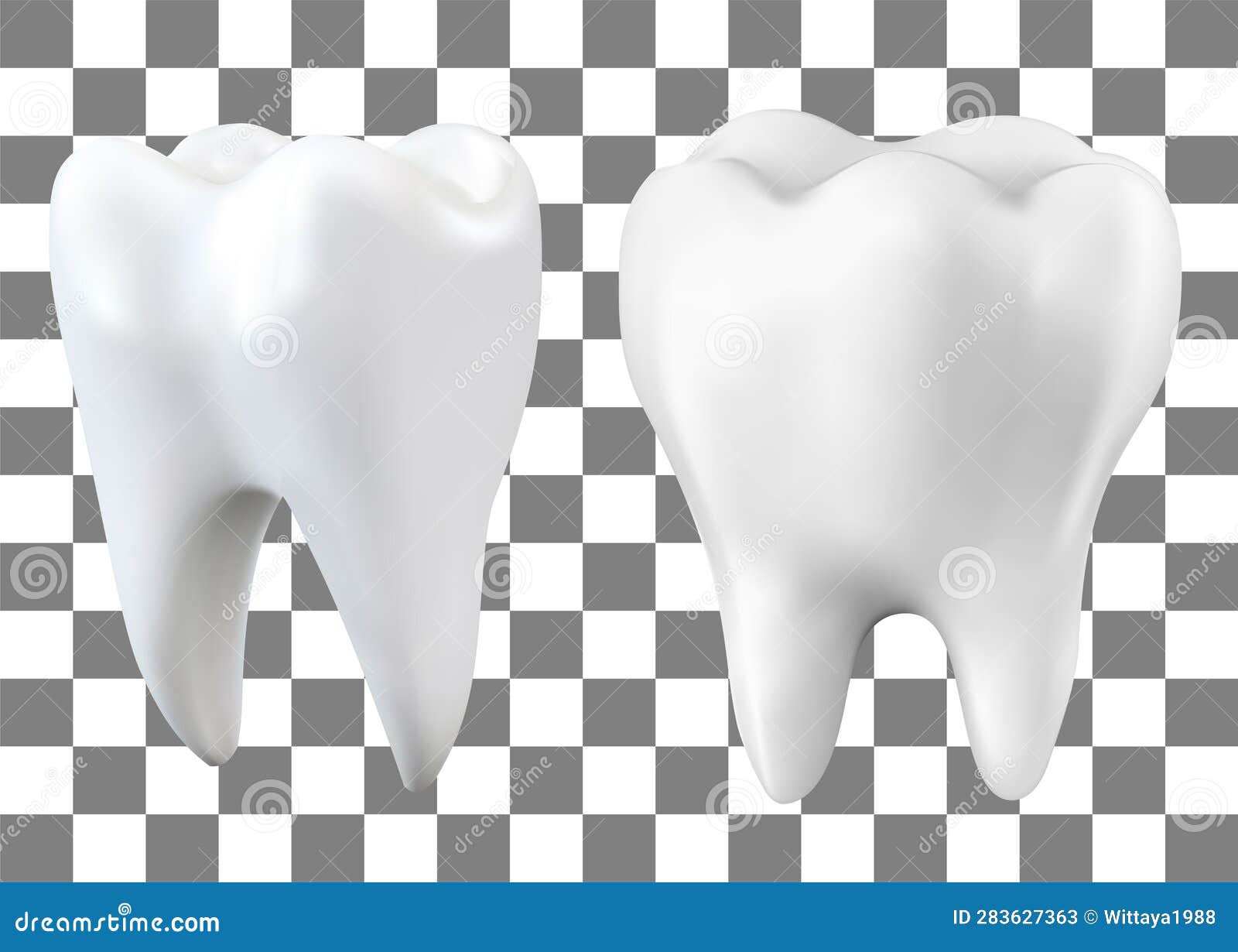 Teeth 3d Vector Illustration Realistic Clean and Tooth Set on ...