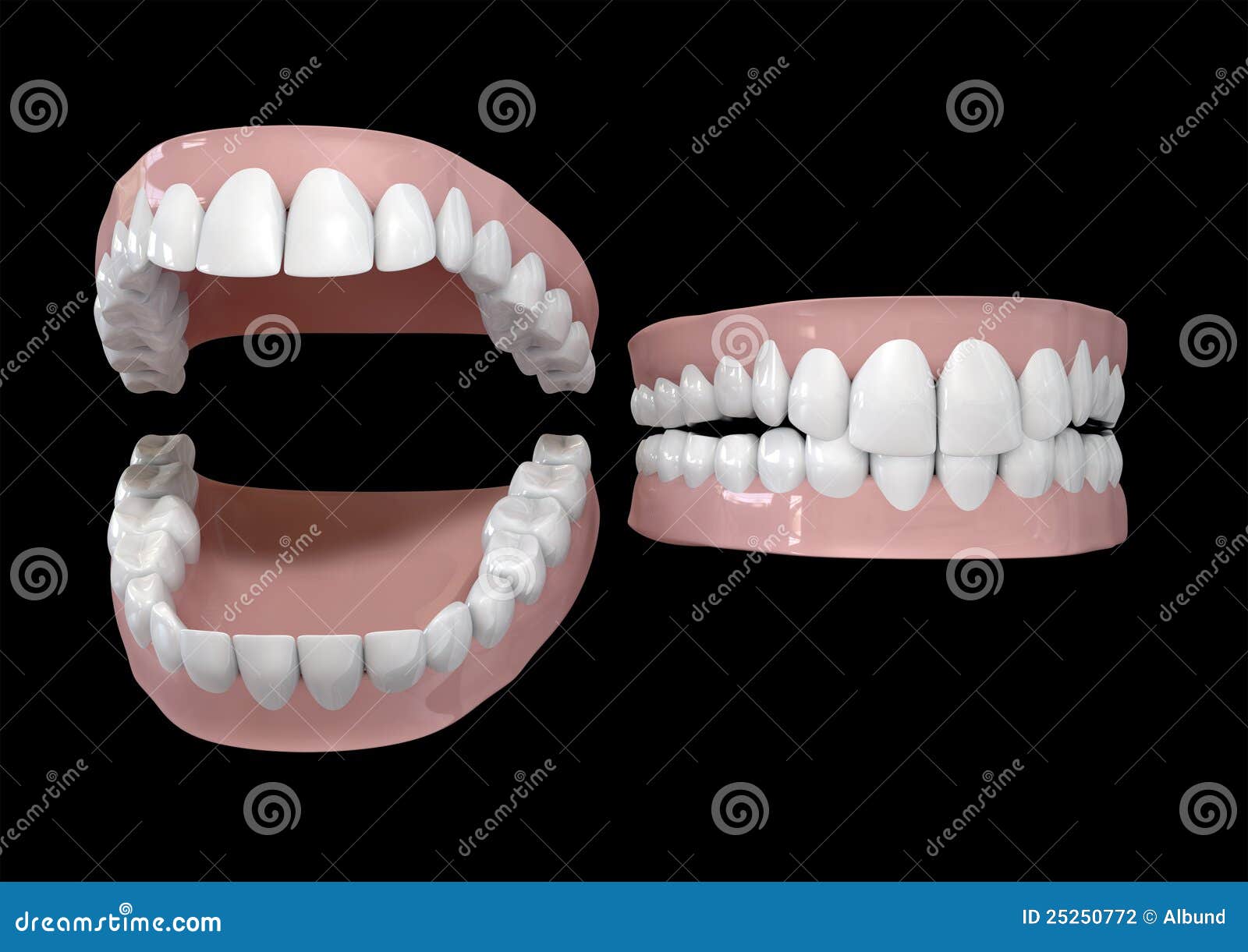Teeth and Gums Open and Closed Stock Illustration - Illustration of ...