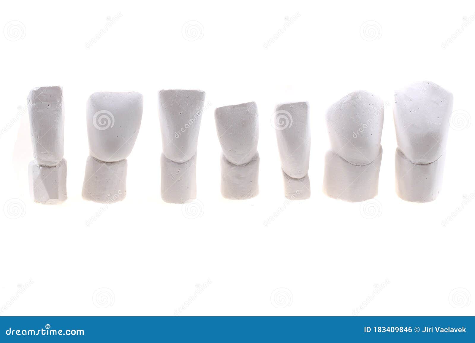 Teeth Gypsum Models Isolated Stock Photo - Image of teeth, healthy ...