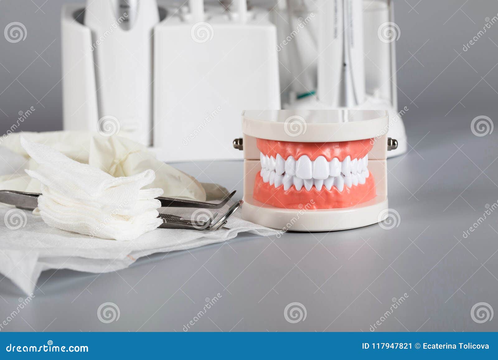 Teeth and Jaw Model. Closeup Stock Image - Image of appointment ...
