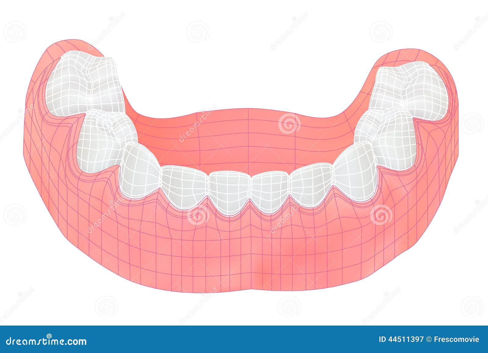 Teeth of the lower jaw. stock vector. Illustration of ailment - 44511397