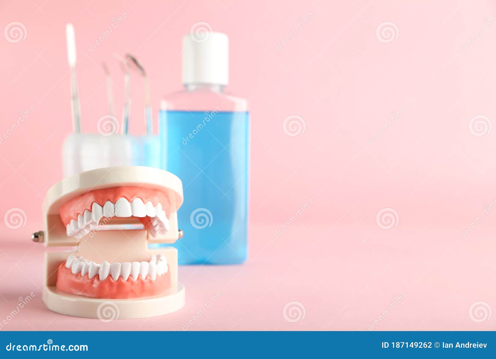 Teeth Model with Bottle of Mouthwash Stock Photo - Image of hygiene ...