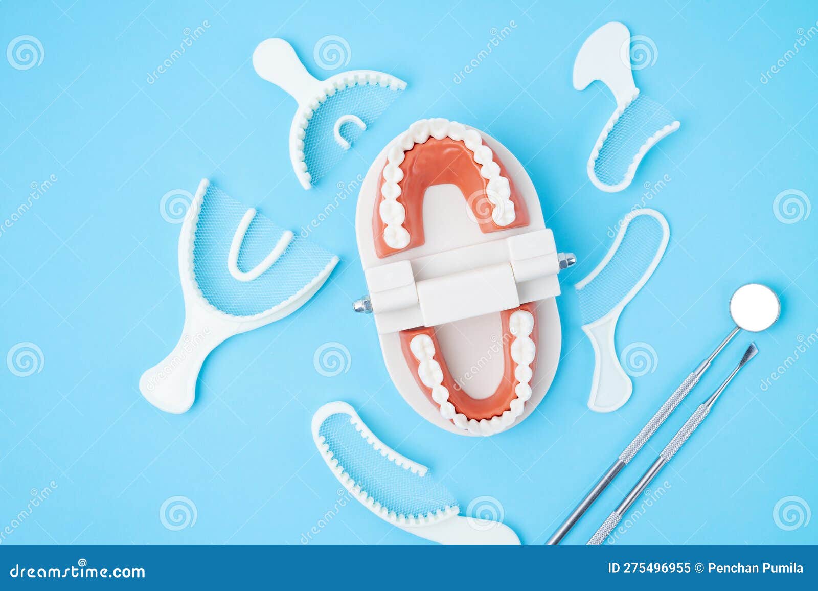 The Teeth Model and Instrument Dental on Blue Background Stock Image ...