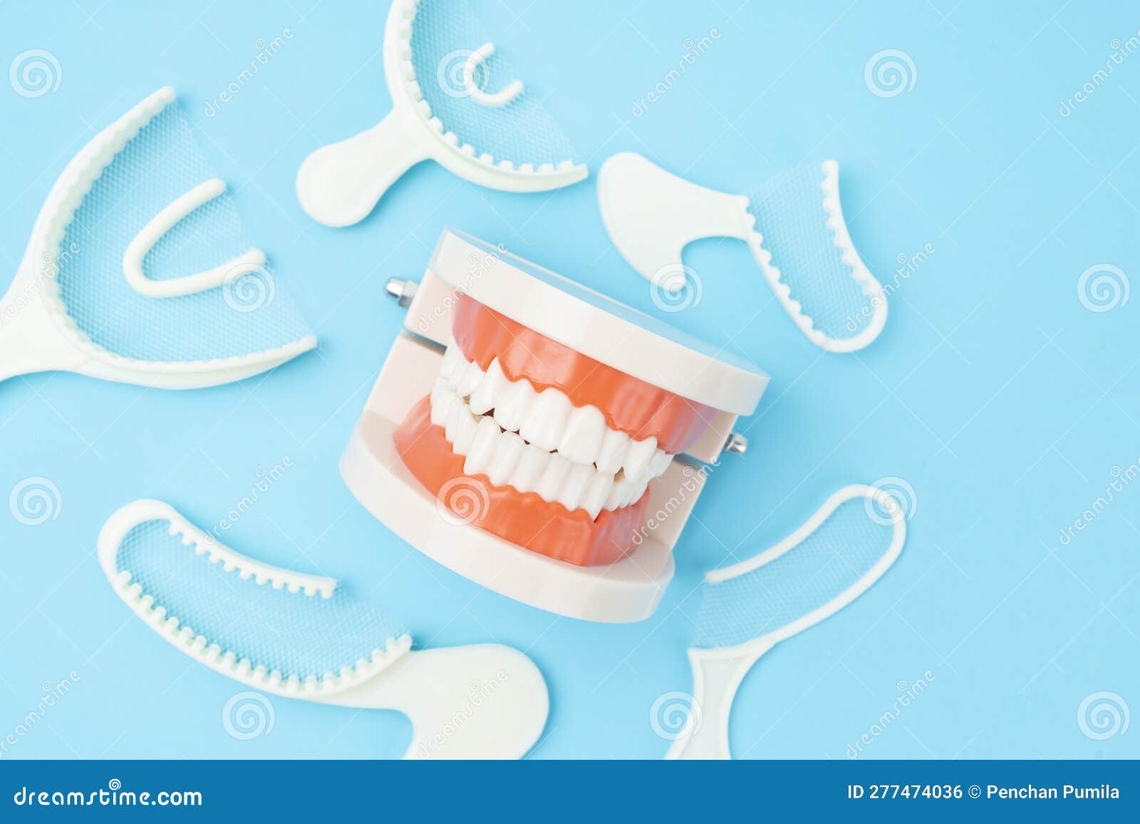 The Teeth Model and Instrument Dental on Blue Background Stock Photo ...
