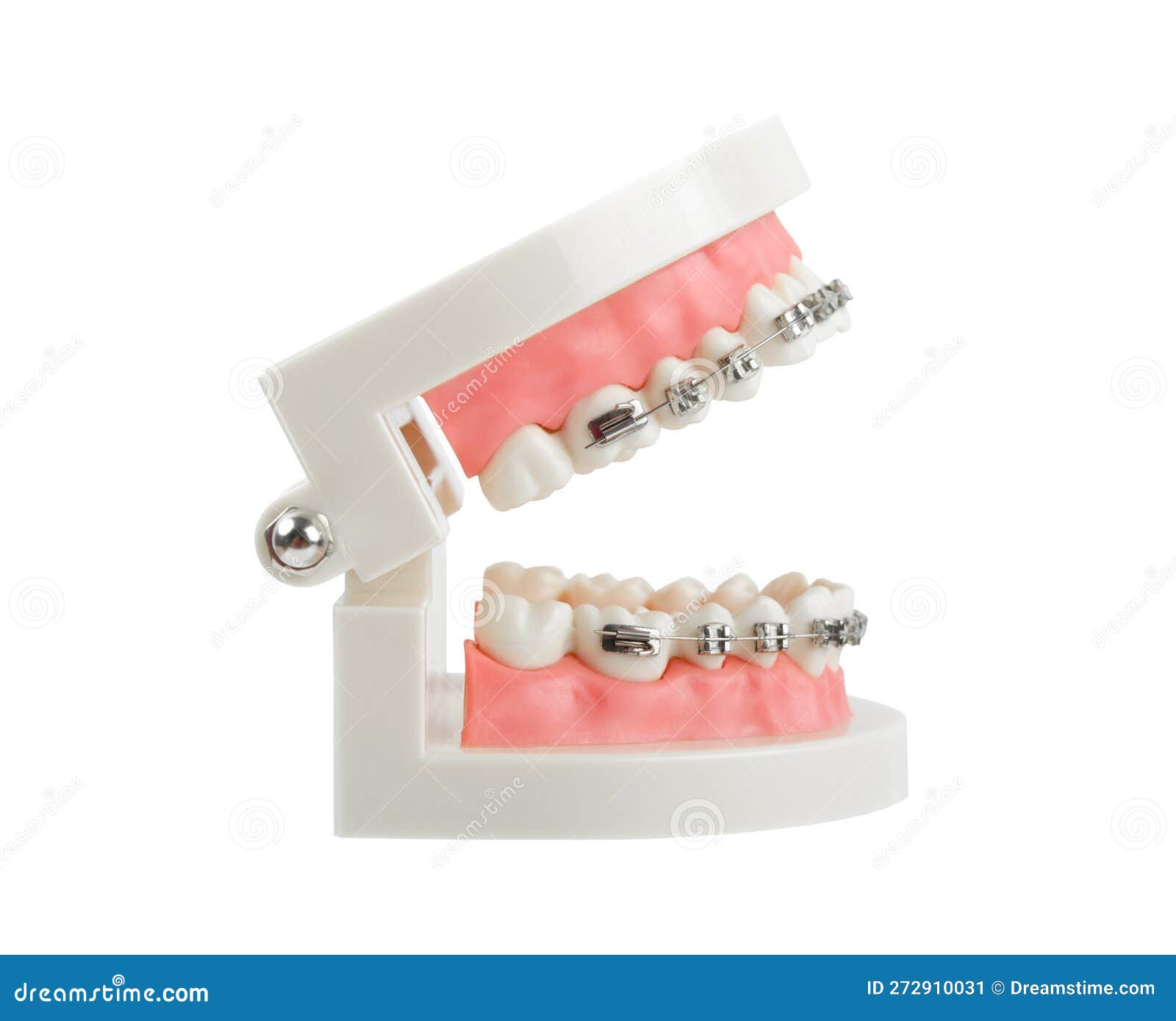 The Teeth Model with Metal Wire Dental Braces or Dental Instruments ...