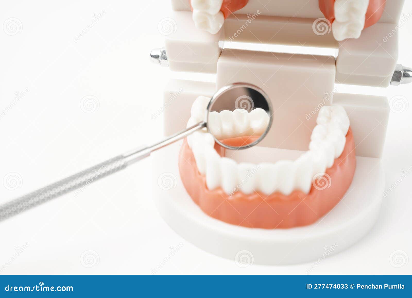 The Teeth Model Showing an Implant Dental Demonstration Teeth Study ...