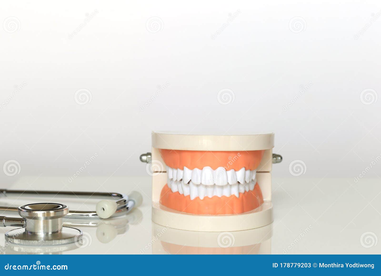 Teeth Model and Stethoscope on White Background, Healthy Teeth and ...