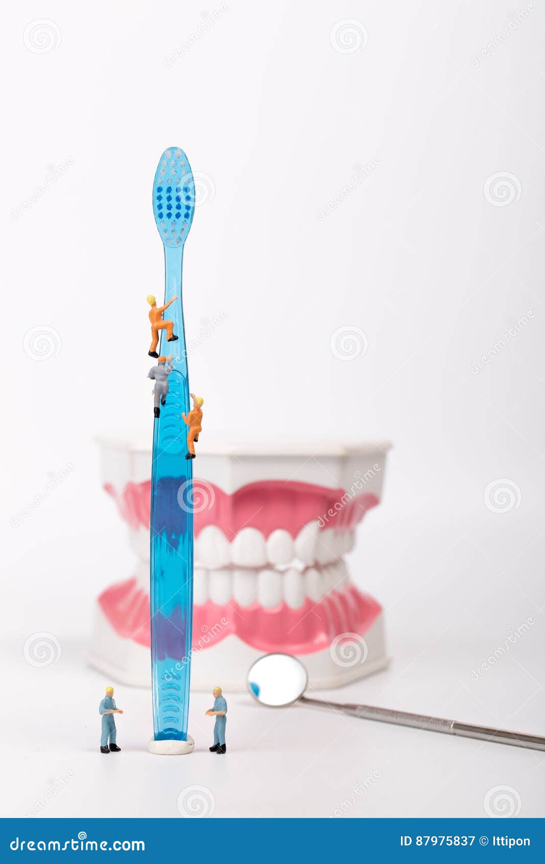 Teeth model and toothbrush stock image. Image of medical - 87975837