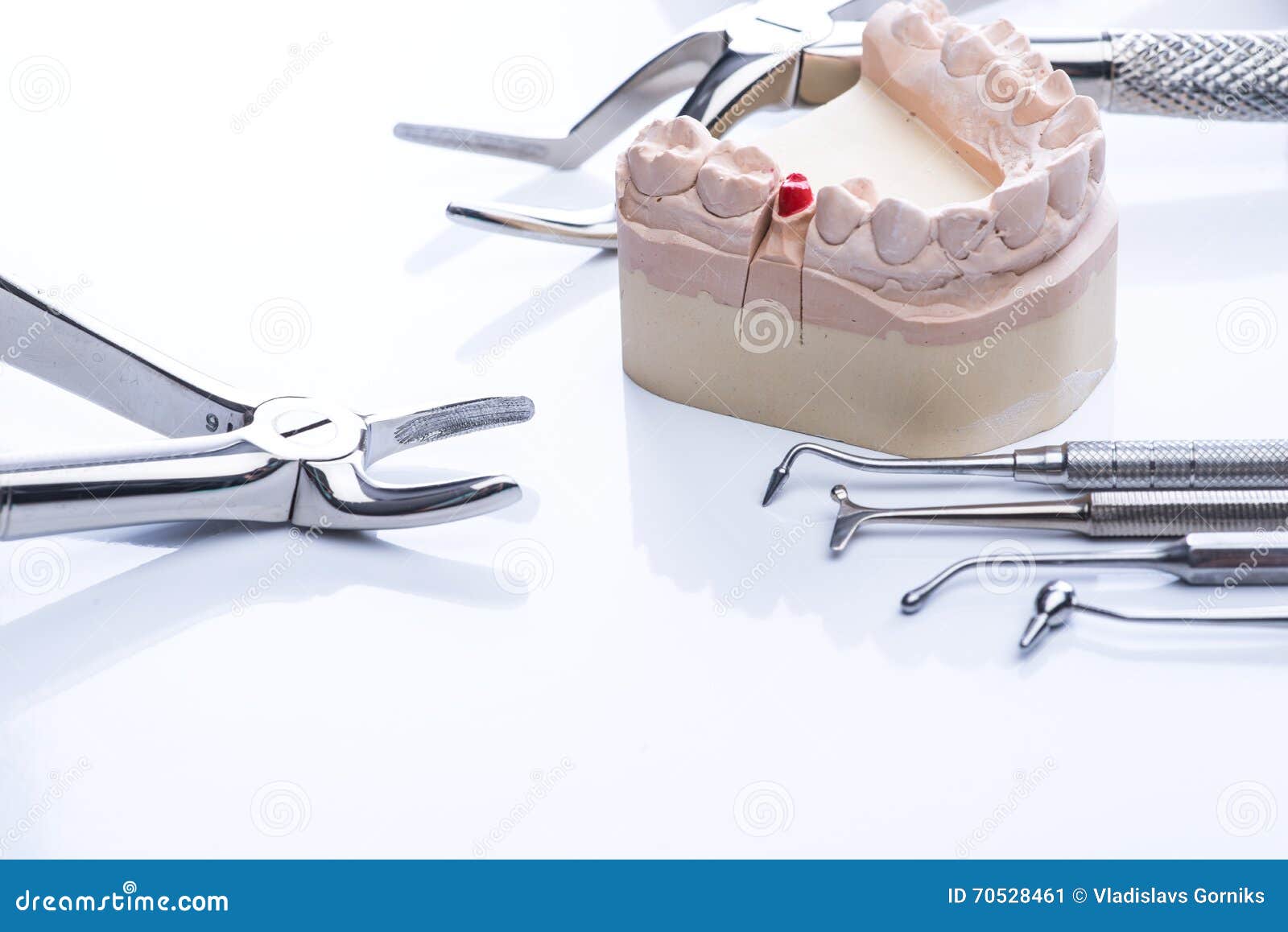 Teeth Mold and Basic Dental Tools on White Table Stock Image - Image of ...