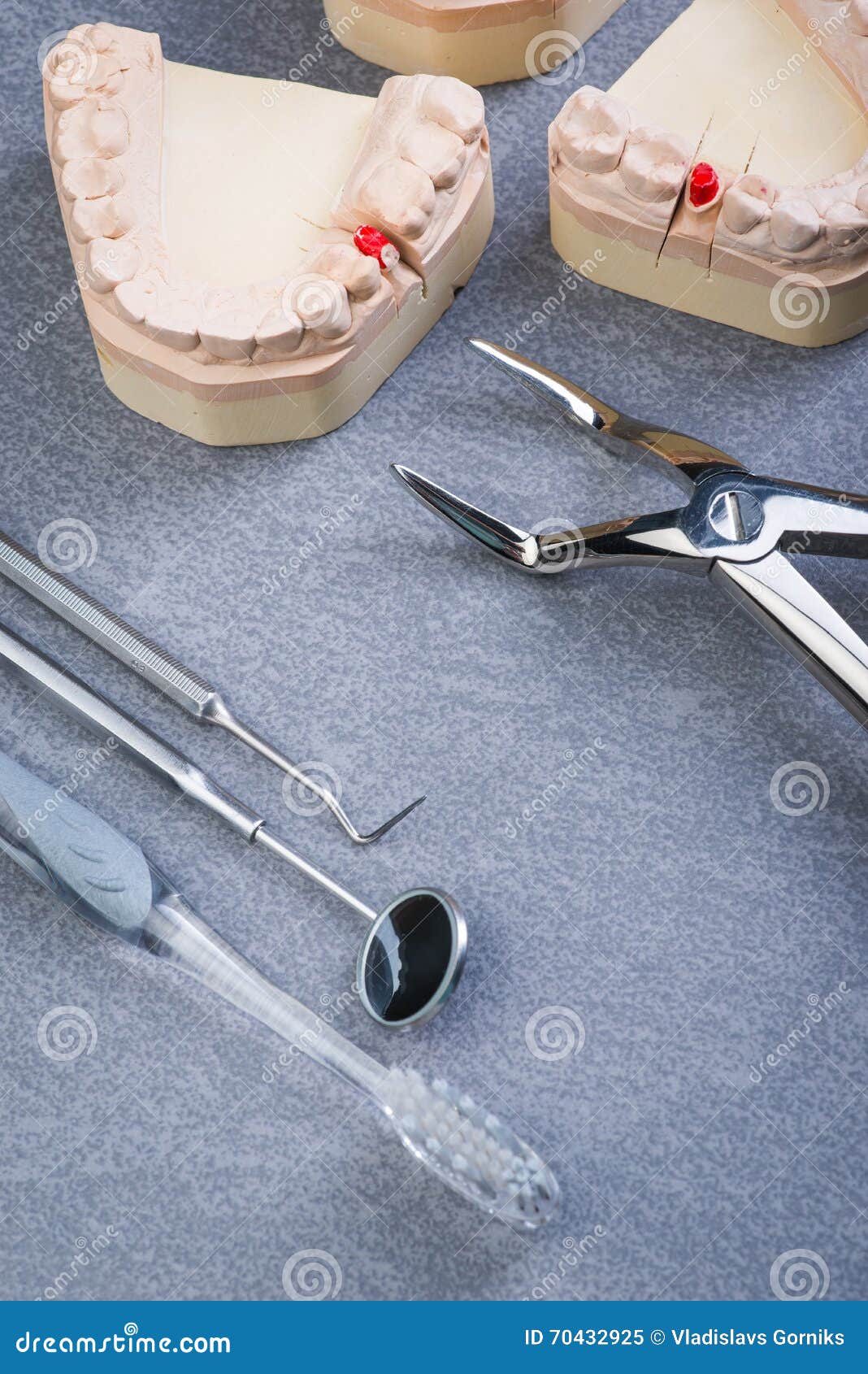 Teeth Mold with Dental Tools and Brush Stock Image - Image of dental ...