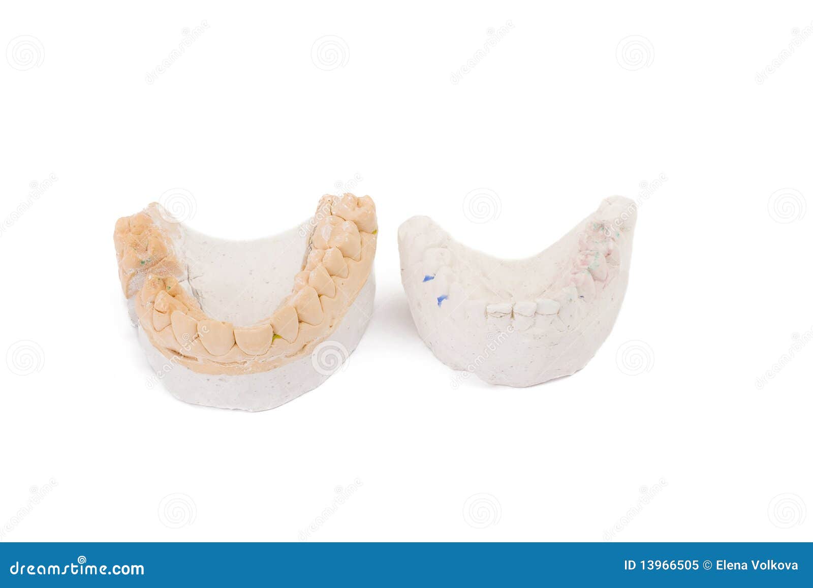 Teeth Plaster Cast. Close Up on White Background Stock Image - Image of ...