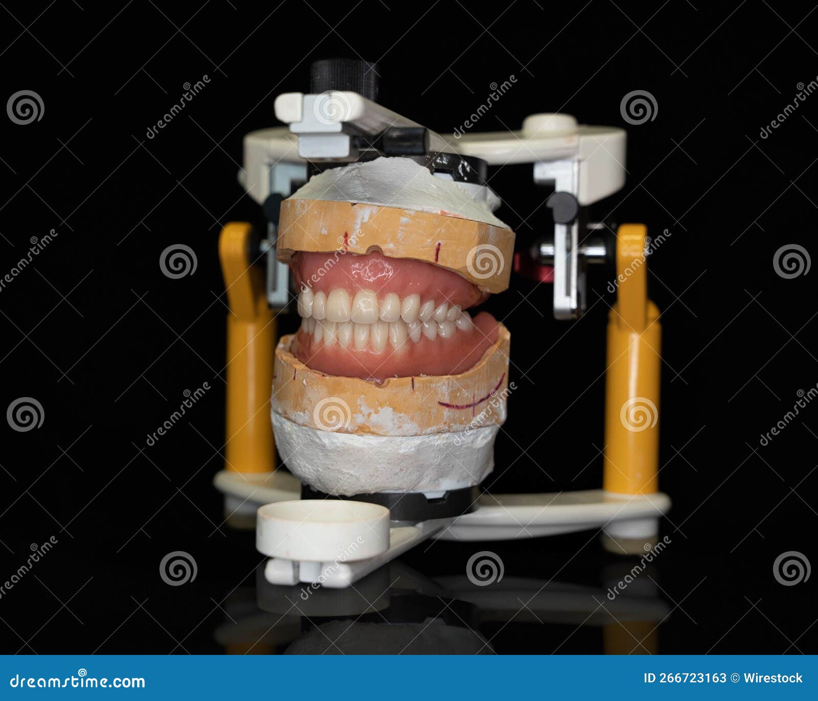 Teeth Prothesis Isolated on Black Background Stock Image - Image of ...