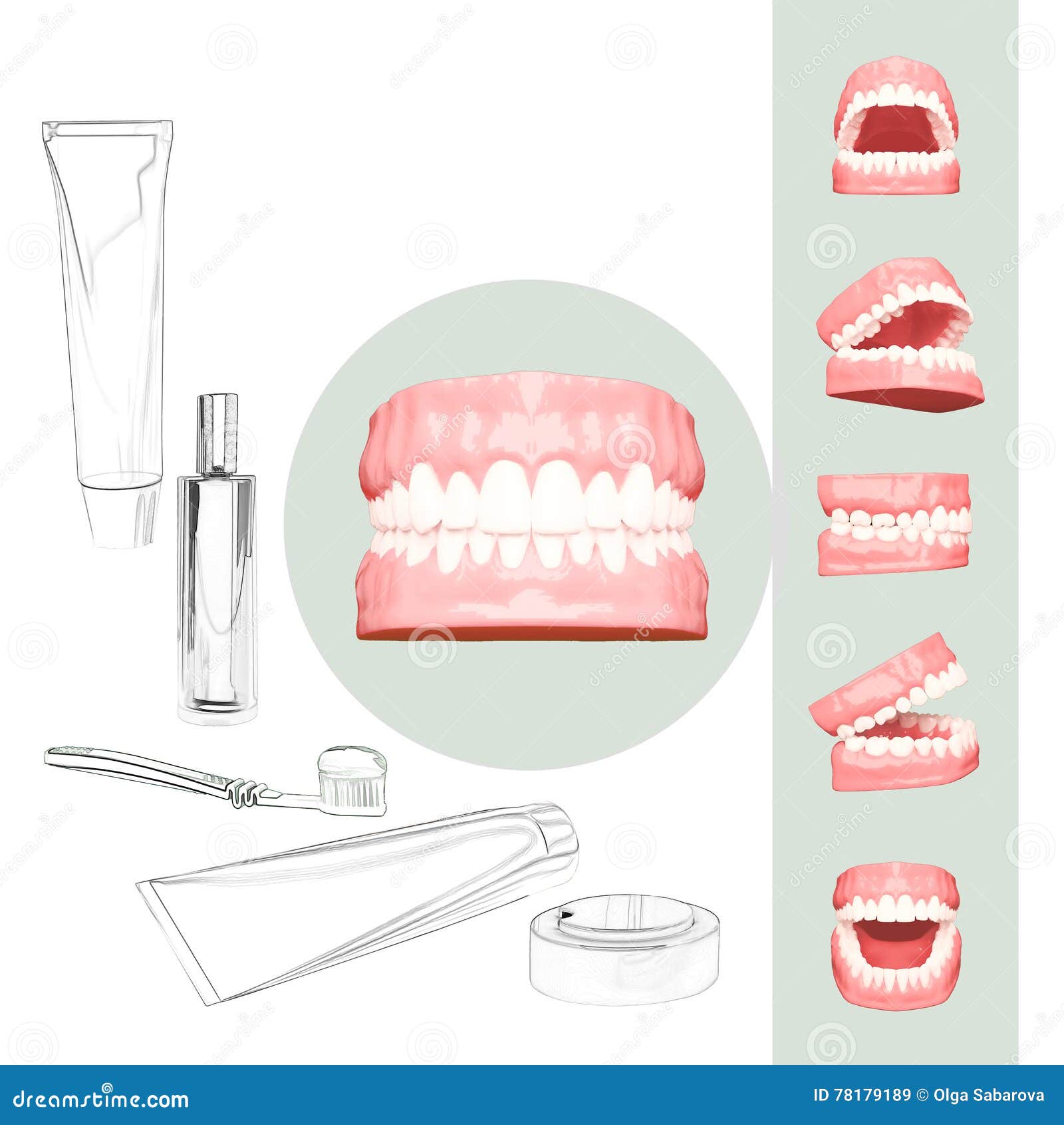 Teeth or Tooth Illustration, Perspective Views in Mouth. Stock ...