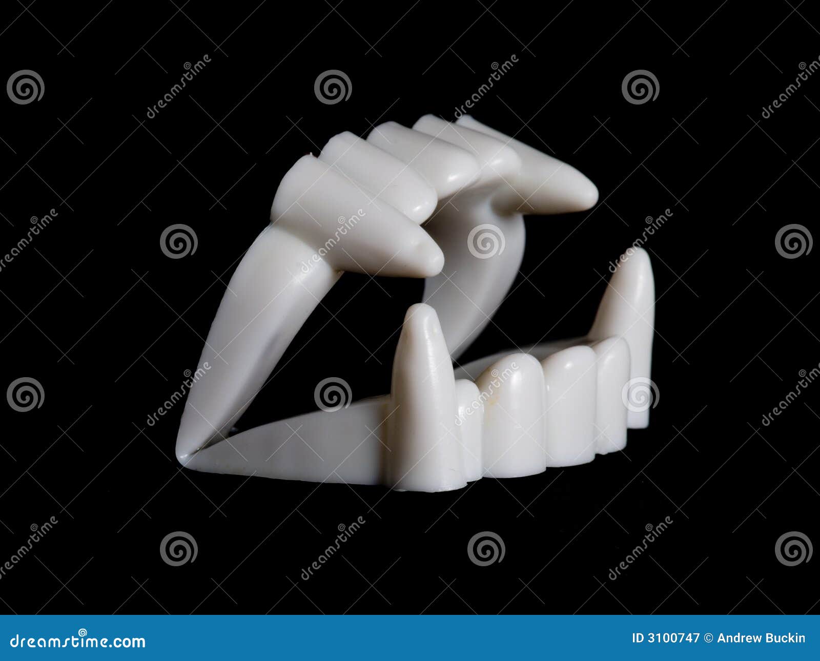 Teeth vampire stock image. Image of domestic, staring - 3100747