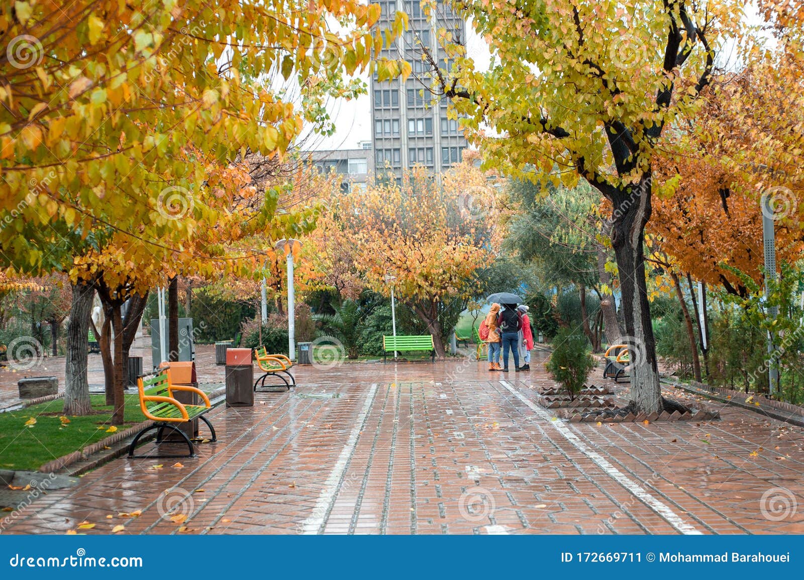 In the Park in Downtown Tehran Editorial Photo - Image of snow, iran ...