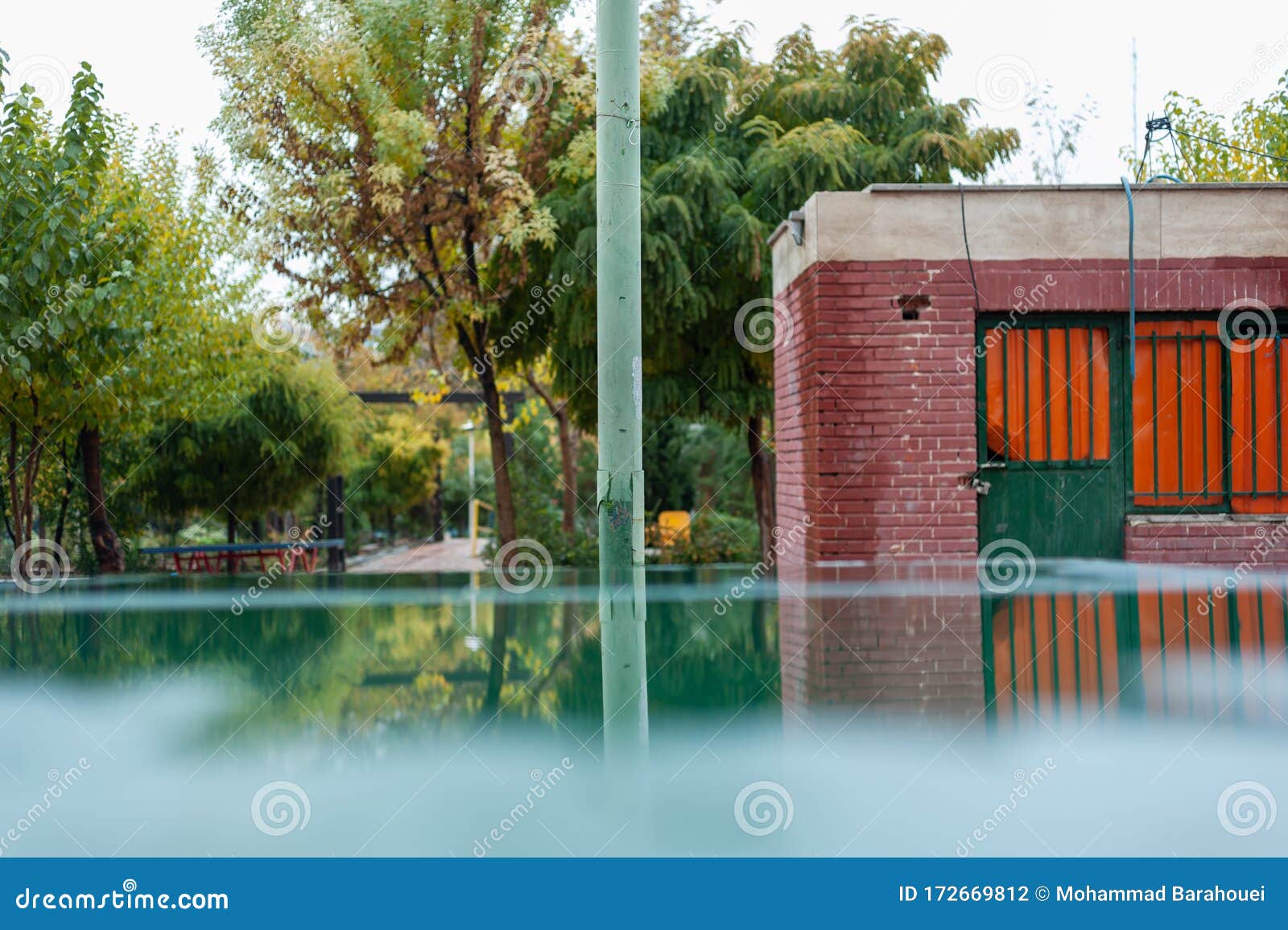 In the Park in Downtown Tehran Stock Photo - Image of plant ...