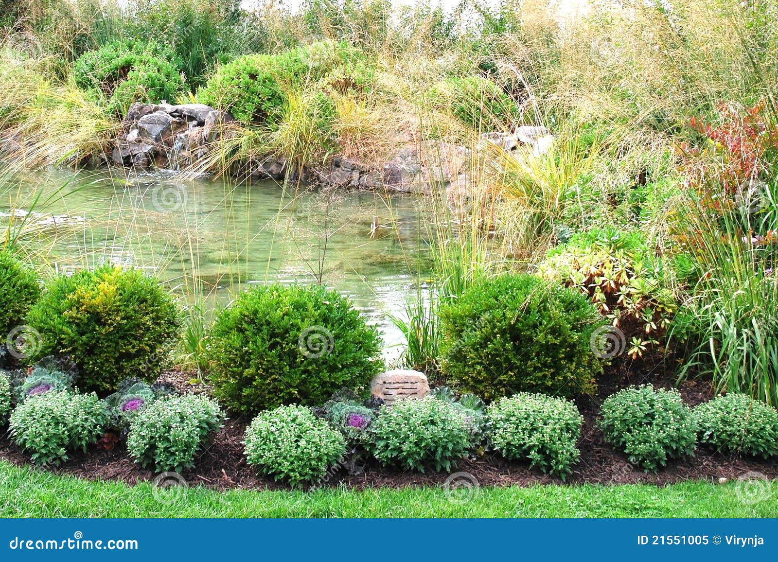 Teich stockbild. Bild von hinterhof, zweig, üppig, rückseite - 21551005