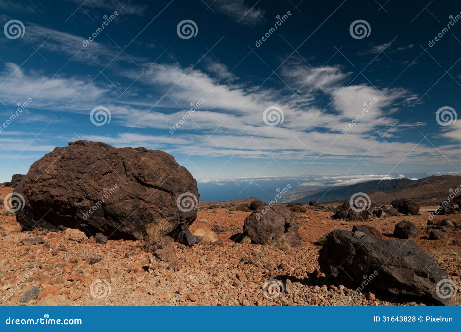 Teide eggs stock photo. Image of teide, huevos, nature - 31643828