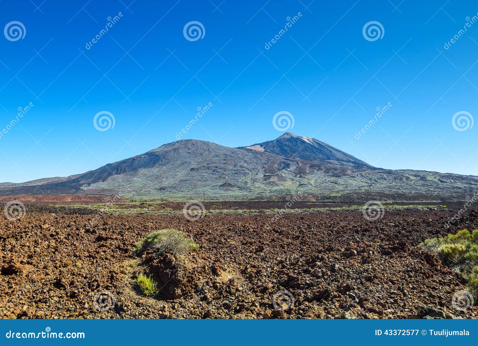 Teide-Vulkan Naitional Park Stockbild - Bild von lava, insel: 43372577