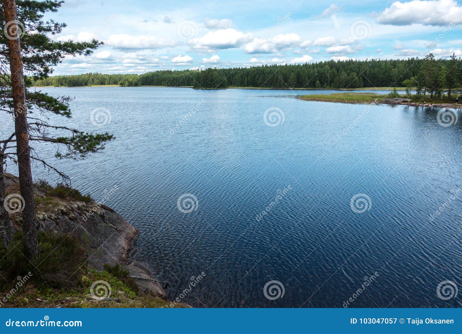 Teijo National Park stockbild. Bild von draussen, eingebürgert - 103047057