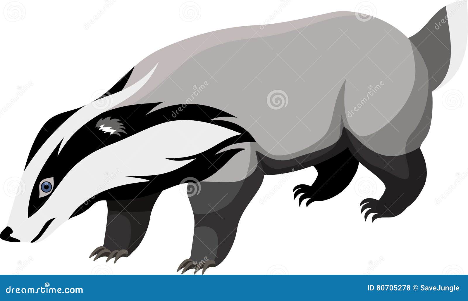 Tejón Del Europeo Del Vector Ilustración del Vector - Ilustración de ...