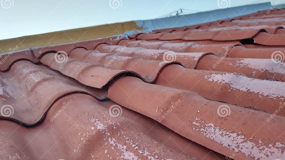 Teja azotea techo stock photo. Image of icing, teja - 233029824