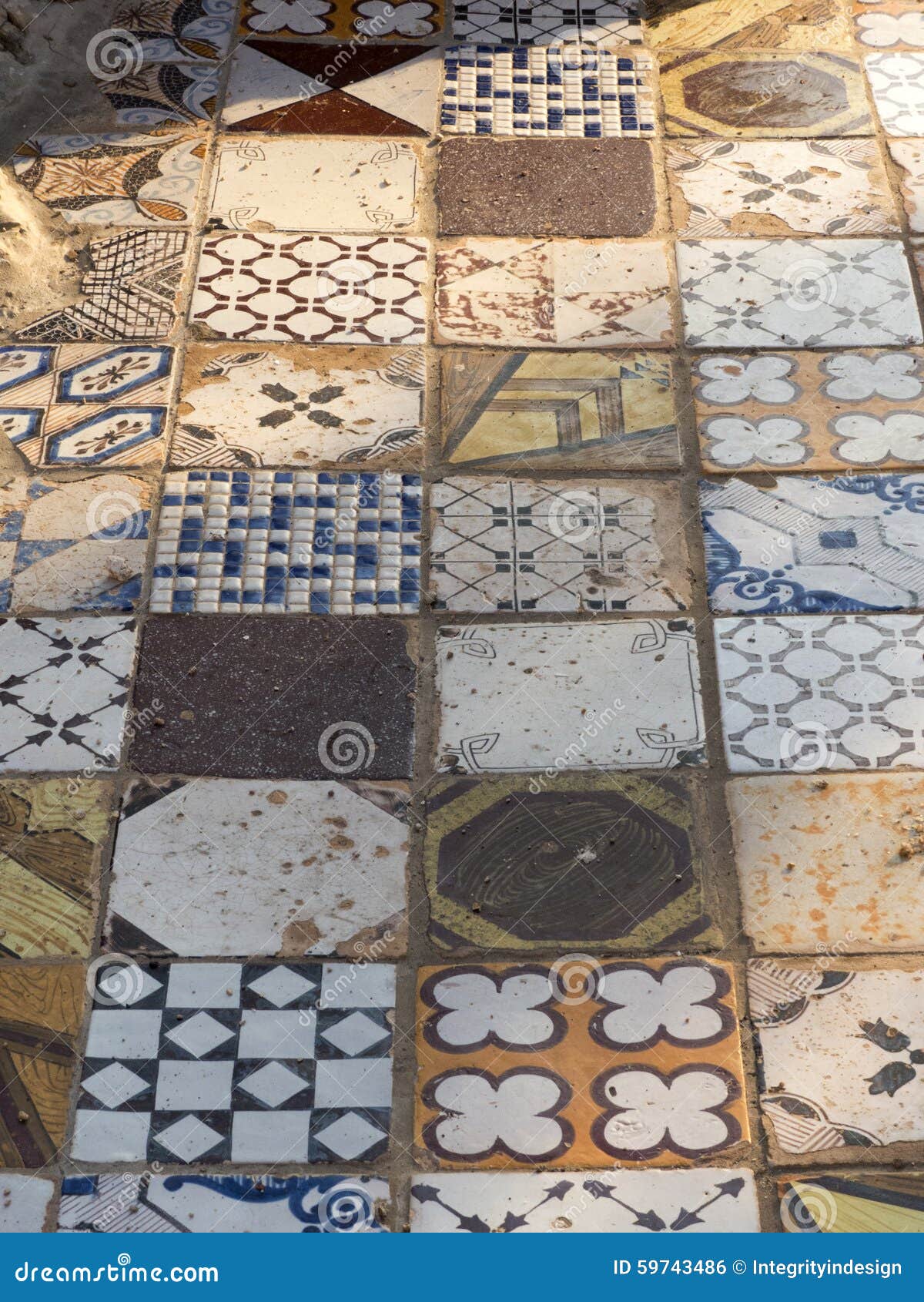 Teja Italiana En Sperlonga, Italia Foto de archivo - Imagen de modelo ...