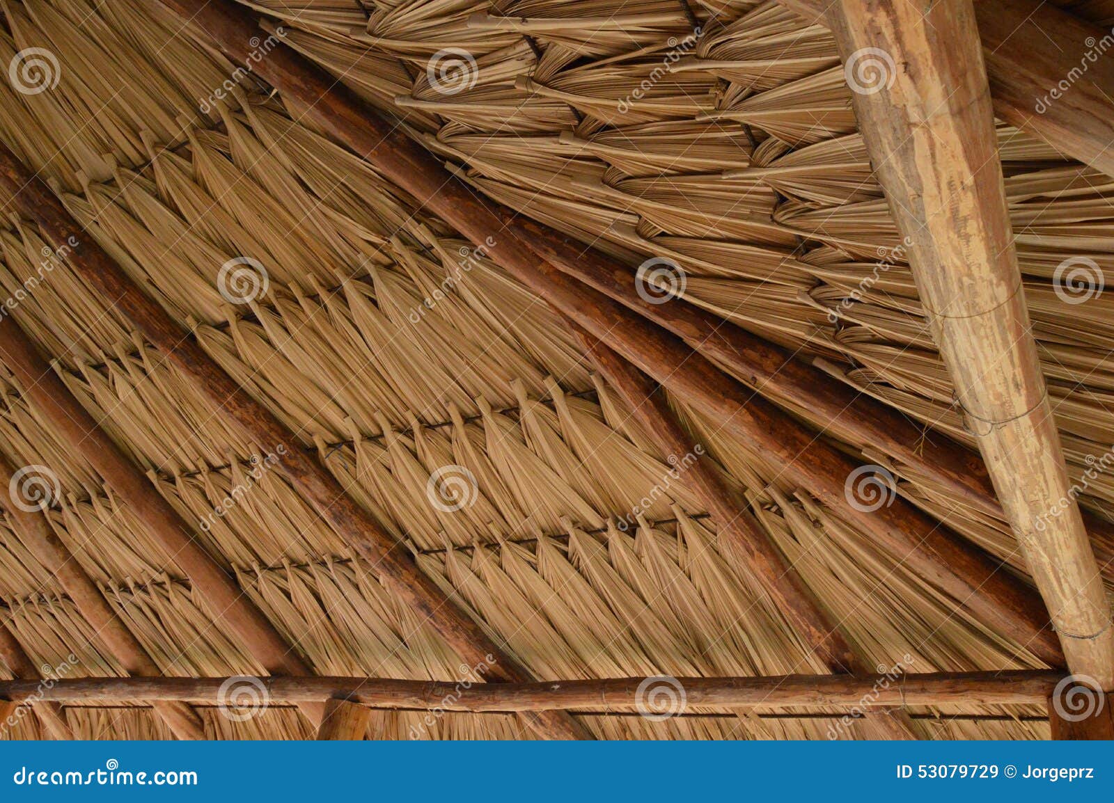 Tejado De Las Ramas De La Palma Imagen de archivo - Imagen de ...