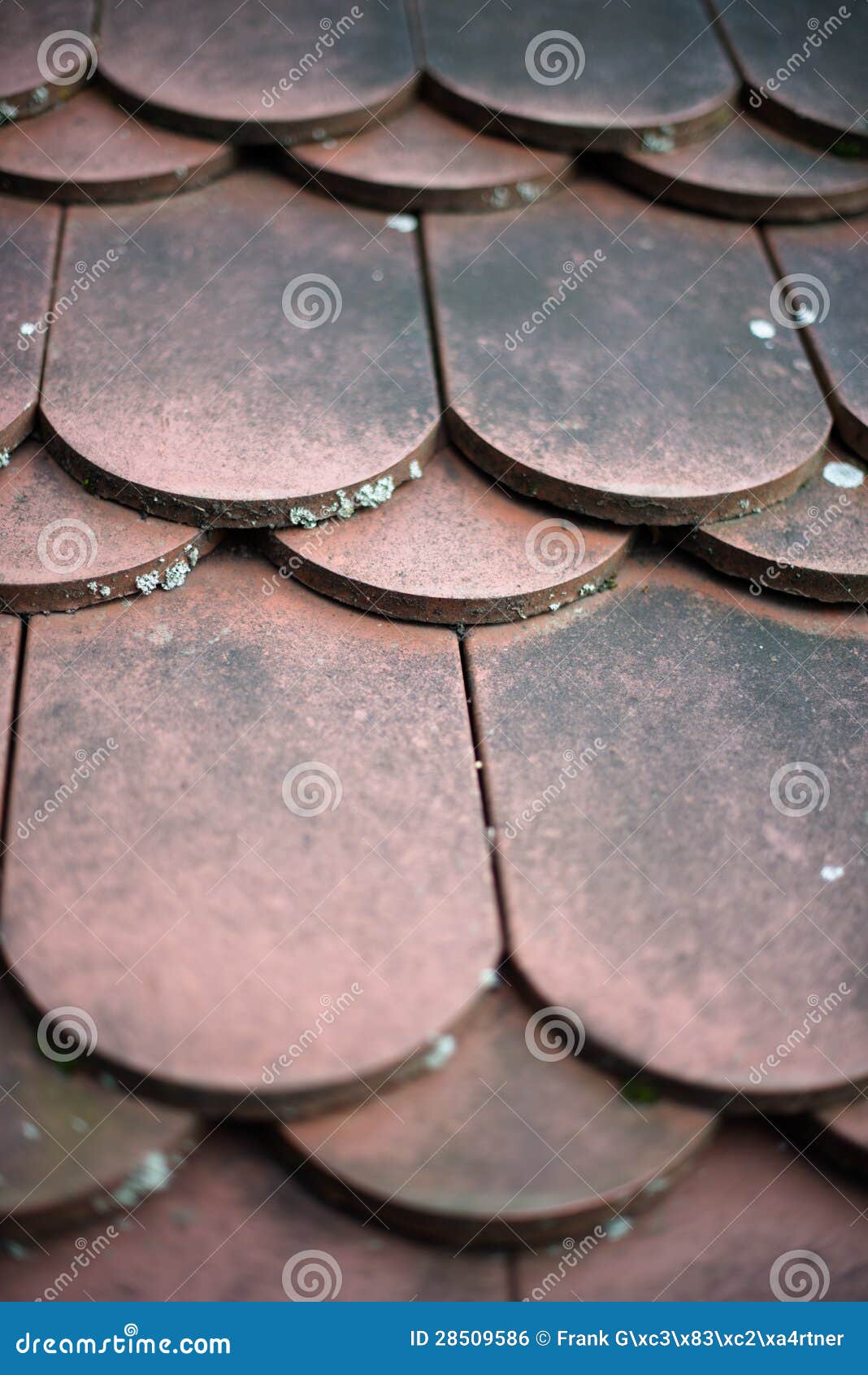 Tejas De Tejado Rojas De La Casa Vieja Foto de archivo - Imagen de ...