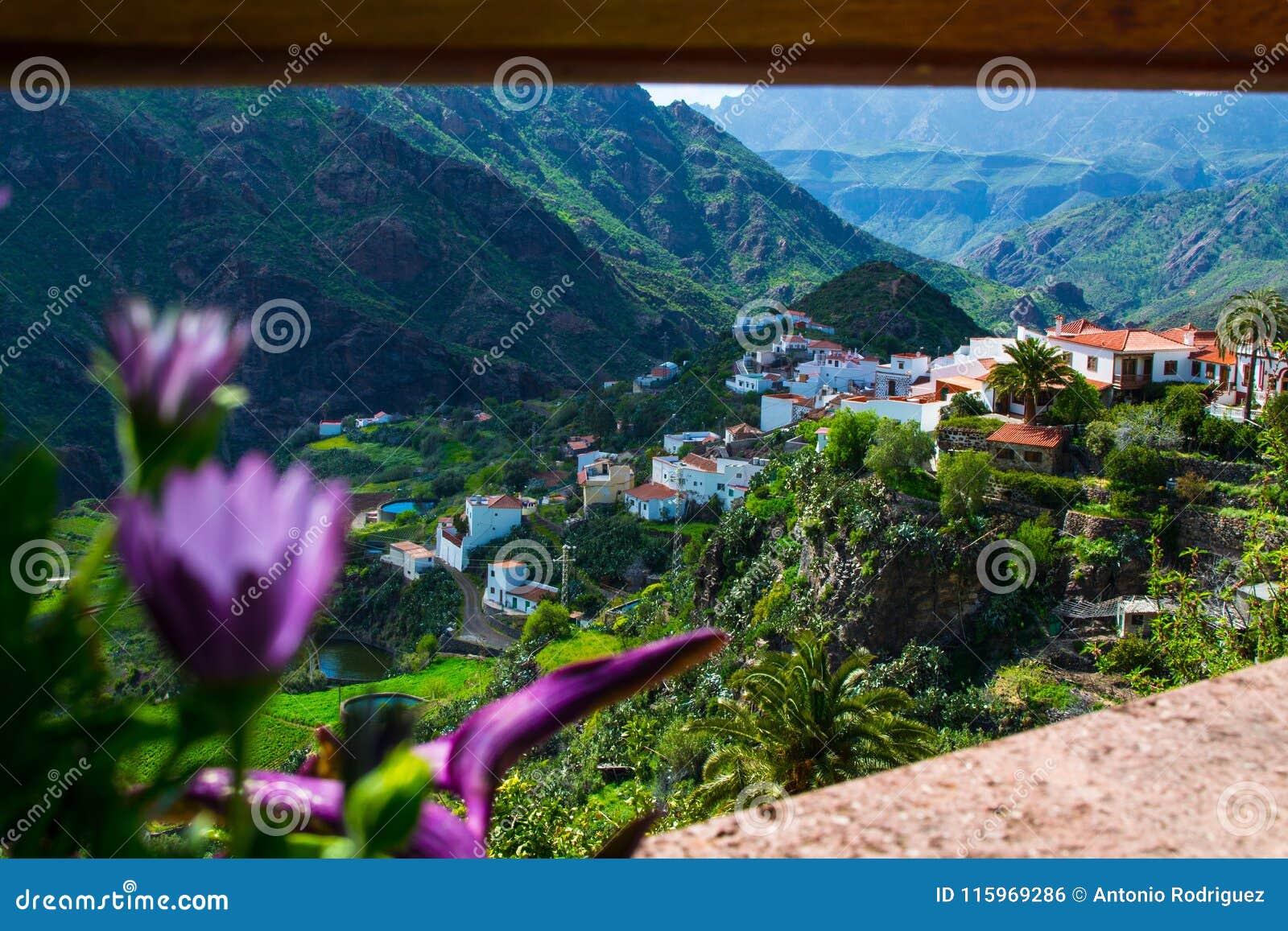 Tejeda stock photo. Image of paisaje, vegetacion, mountain - 115969286