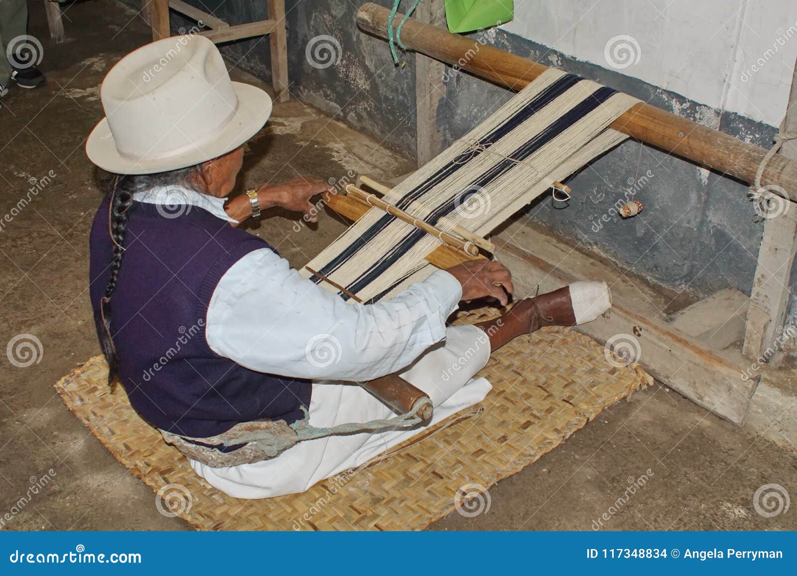 Tejedor mayor en Ecuador imagen de archivo editorial. Imagen de bufanda ...