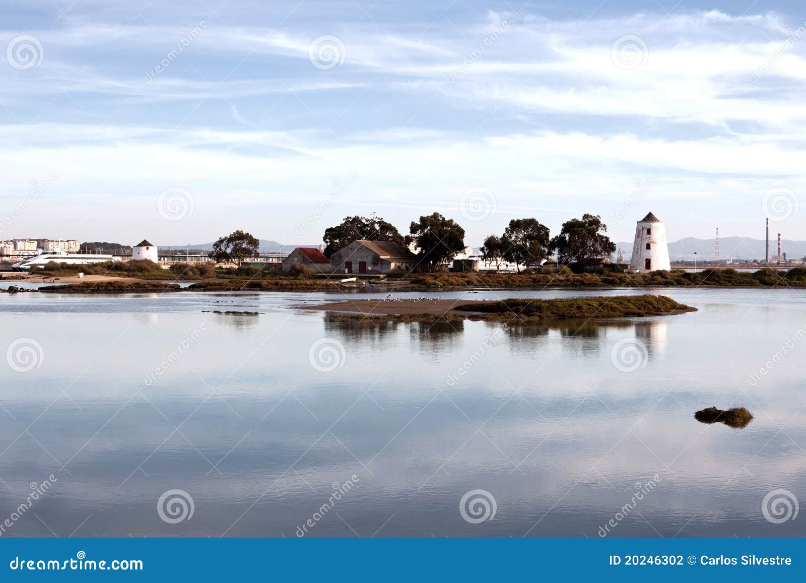 Tejo river. stock photo. Image of buildings, seagulls - 20246302