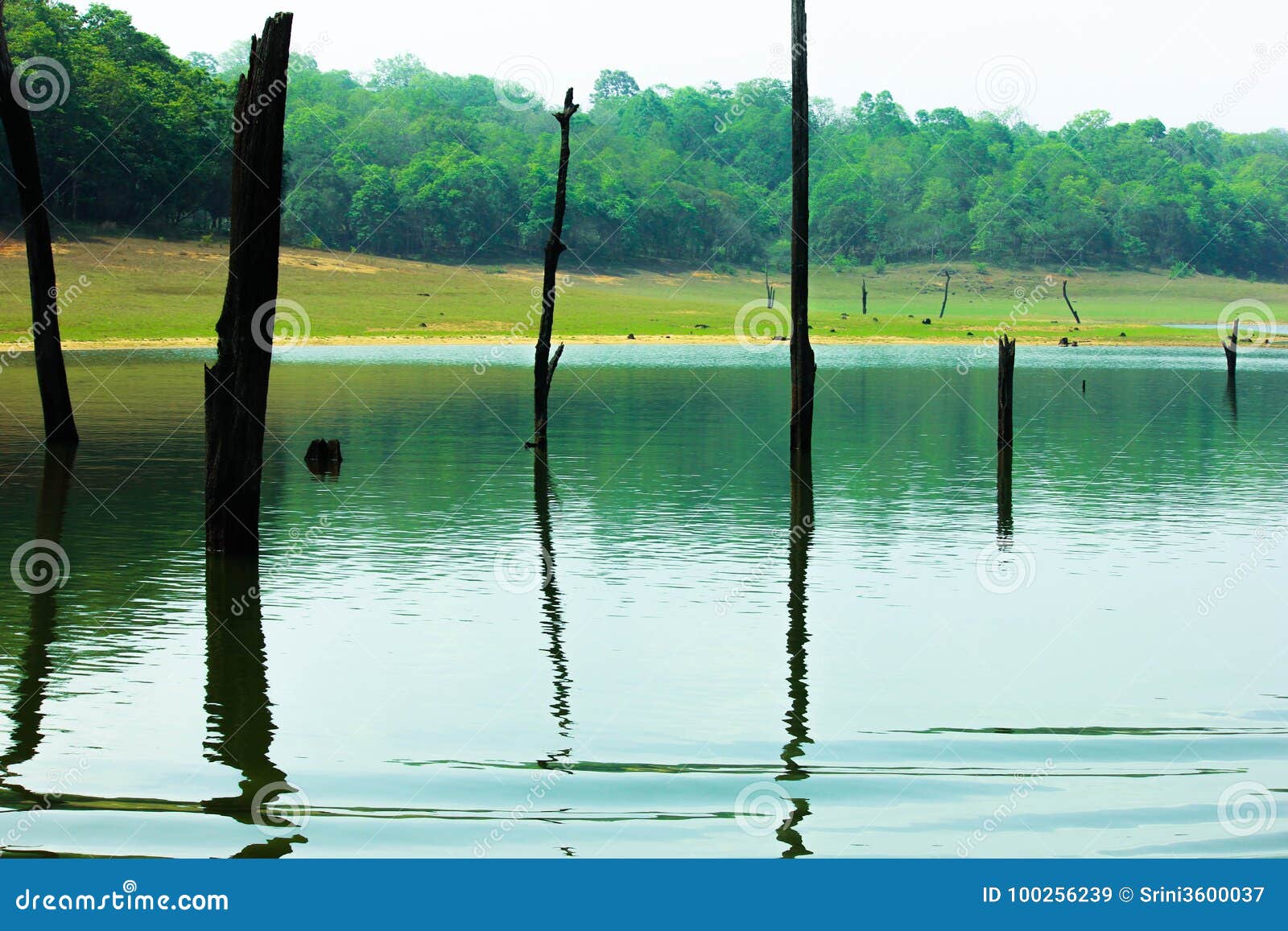 Tekadi Stock Photos - Free & Royalty-Free Stock Photos from Dreamstime