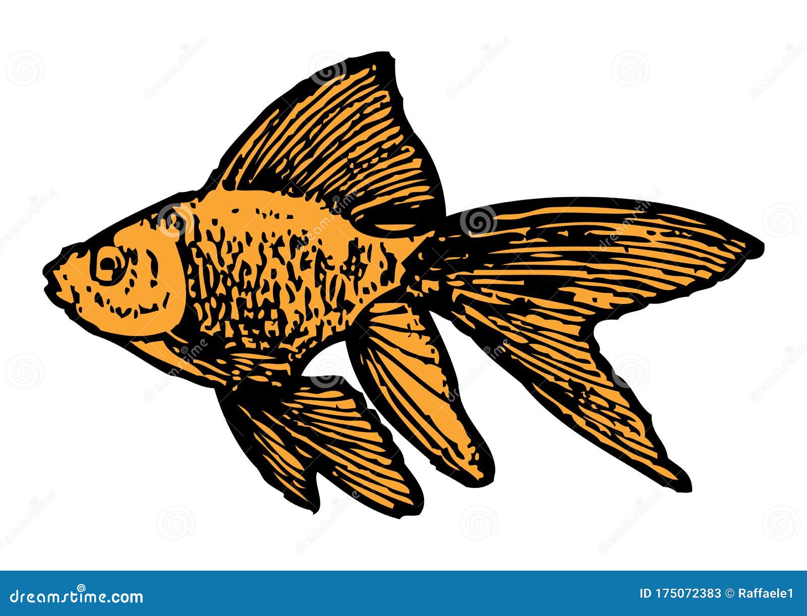 Tekening Van De Goudvis Met Witte Achtergrondafbeelding Stock ...