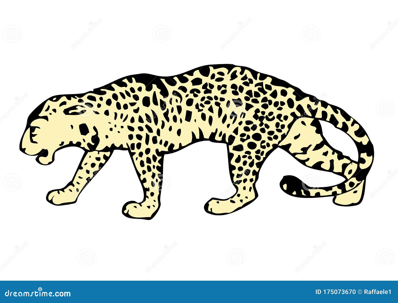 Tekening Van De Luipaard Met Witte Achtergrondafbeelding Stock ...
